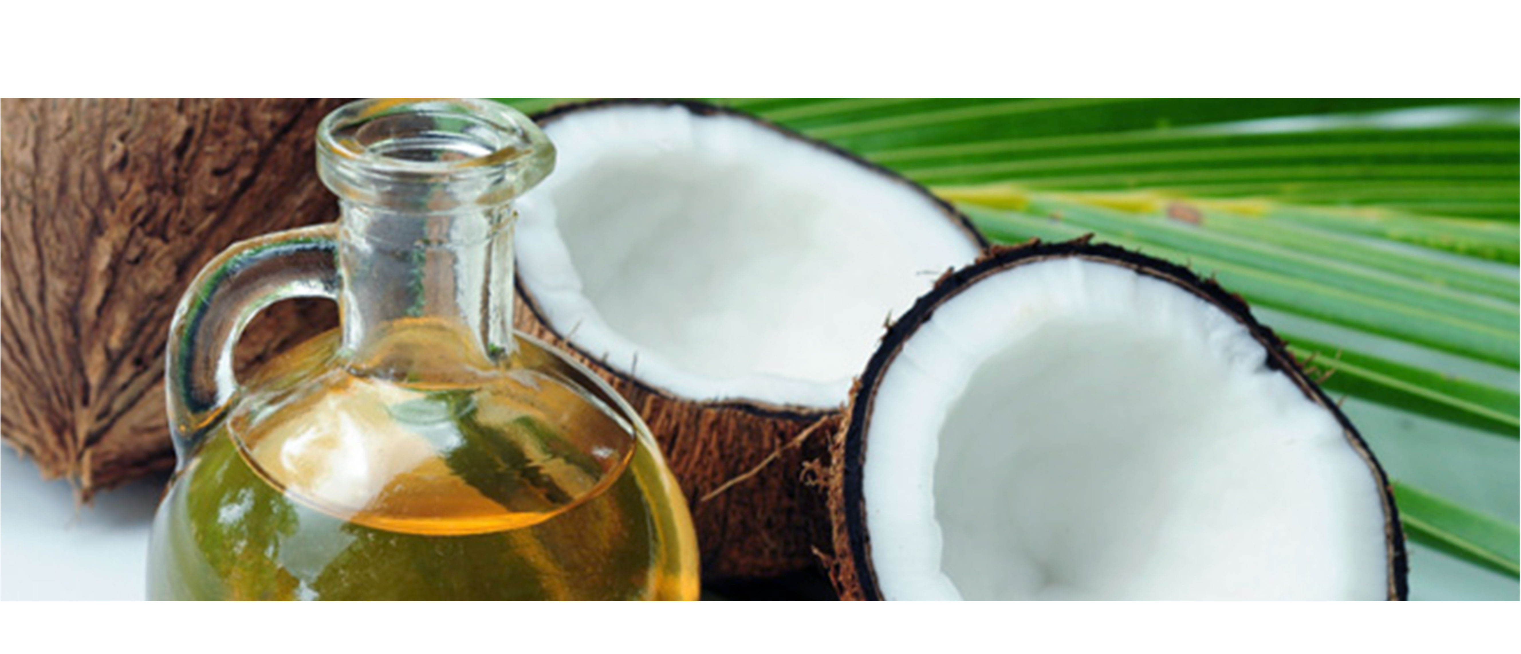 Willkommen zu Ceylon Curry